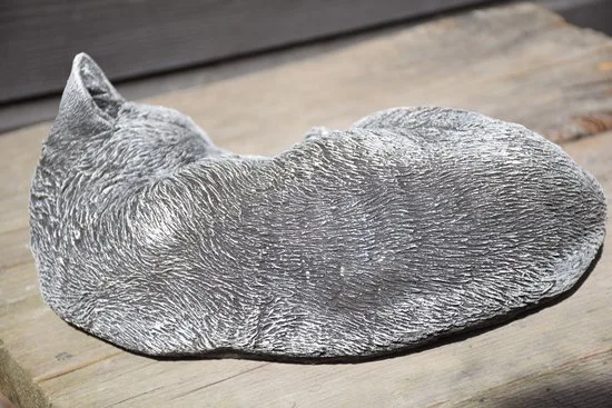 Slapende kat - Weetjes over katten. Voor alle informatie over katten.